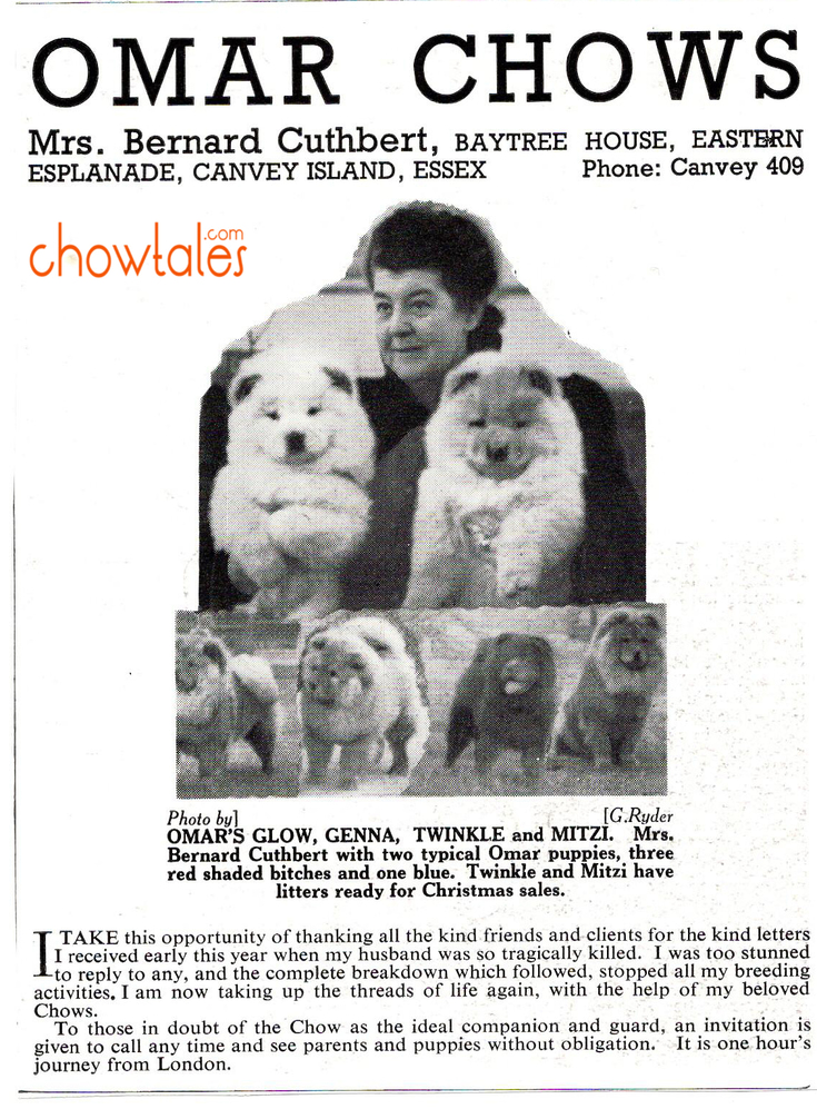 Kitty & her Chow Chows – curiosity kate